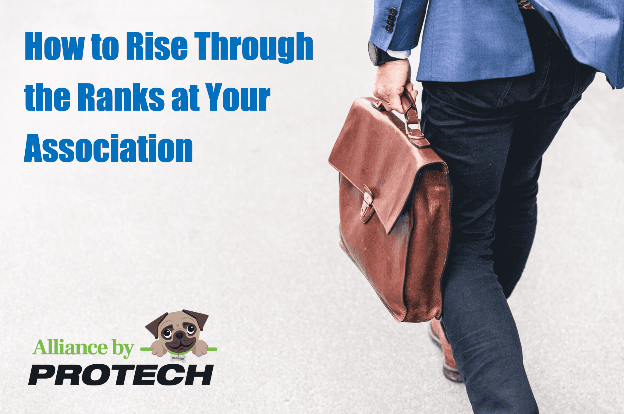 Association Career Development: A Short Guide - Protech Associates