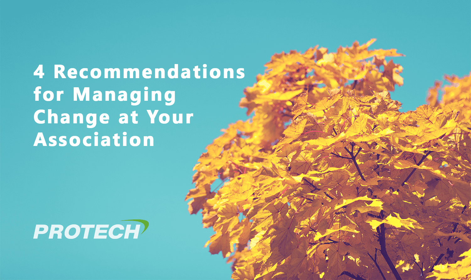 4 Recommendations for Managing Change at Your Association - Protech